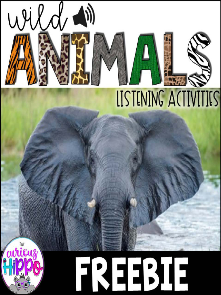 Listening Activities Wild Animals Freebie | PDF | Hippopotamus | Qr Code