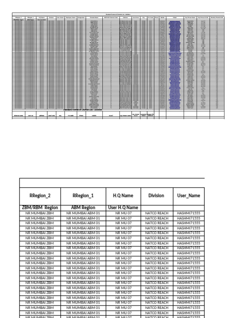Standard Format For Chemist List in Hidoctor | PDF