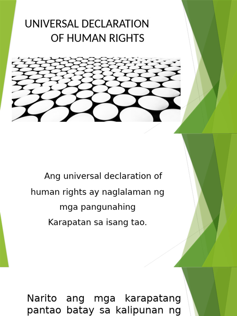 Universal Declaration of Human Rights | PDF