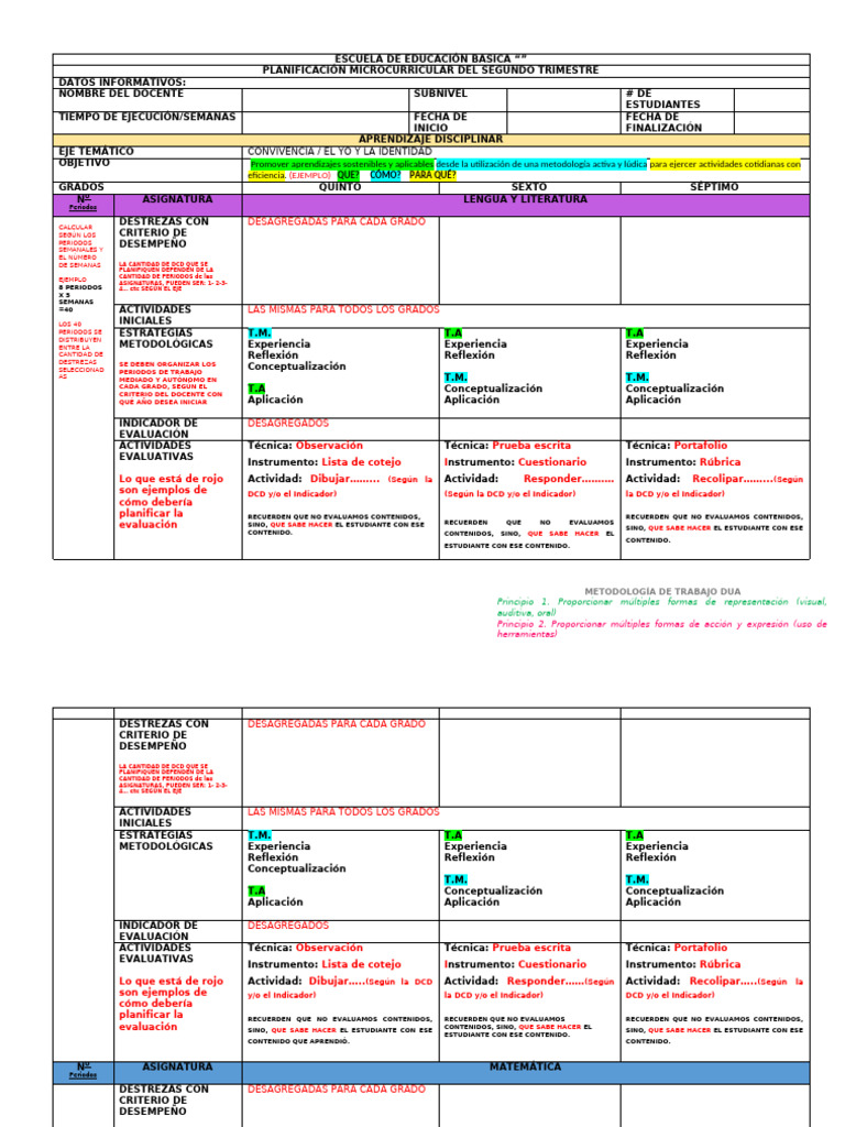 Formato Planificación Miccro Curricular Multigrado 2024 | PDF | Evaluación | Cuestionario