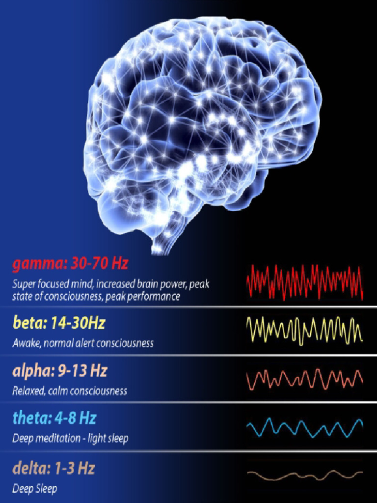 Brain Waves | PDF