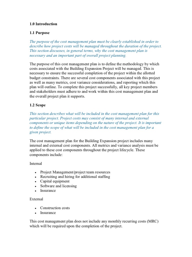 Cost Management Plan-Template1 | PDF | Product Development | Industries