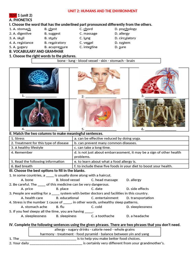 Unit 2 - Humans and The Environment - Test | PDF | Museum | Garlic