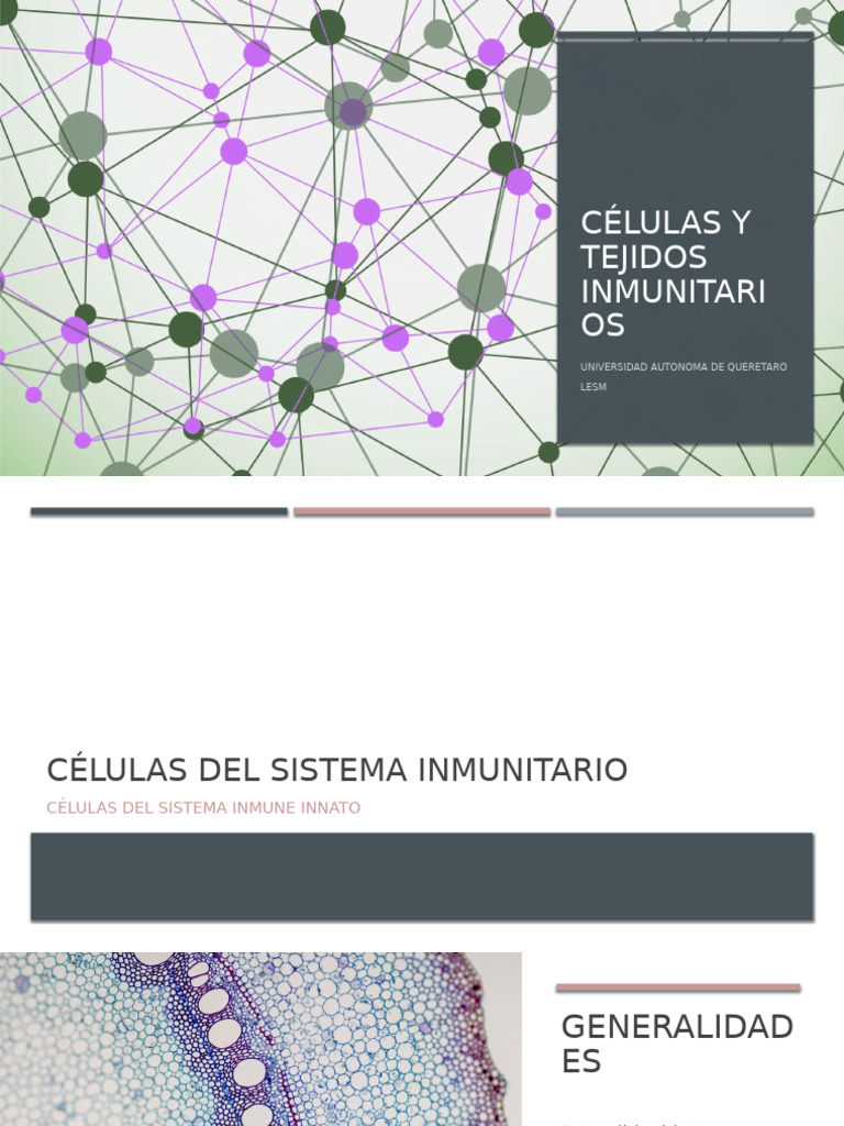 3 Celulas y Tejidos Del Sistema Inmune | PDF | Sistema linfático | Fagocito