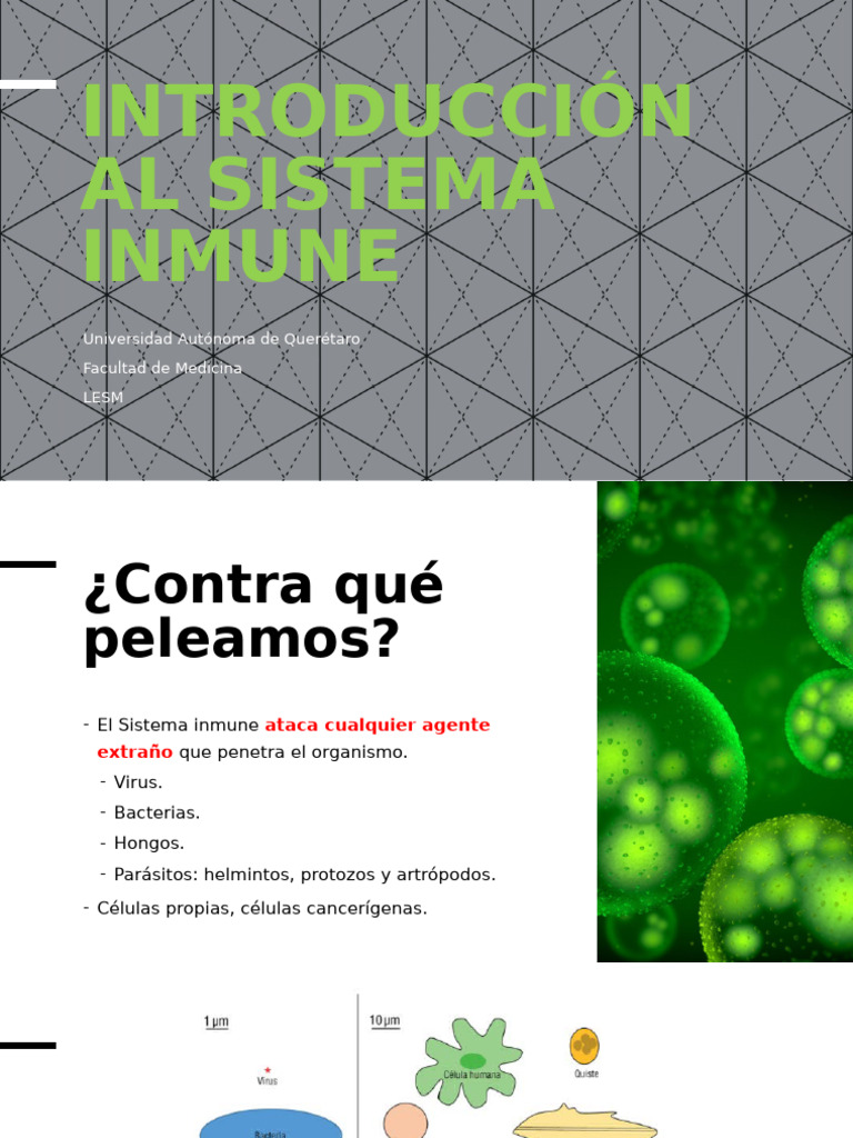 2 Introducción Al Sistema Inmune | PDF | Sistema inmune | Linfocitos