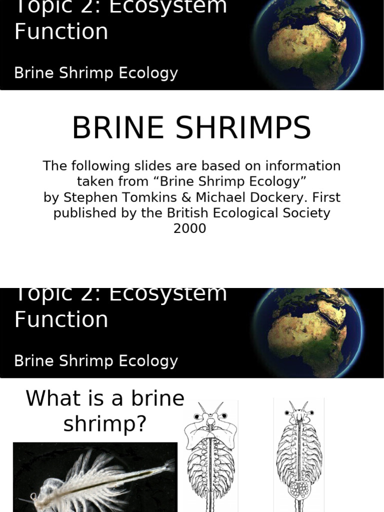 Brine Shrimps 1 | PDF | Shrimp | Earth Sciences