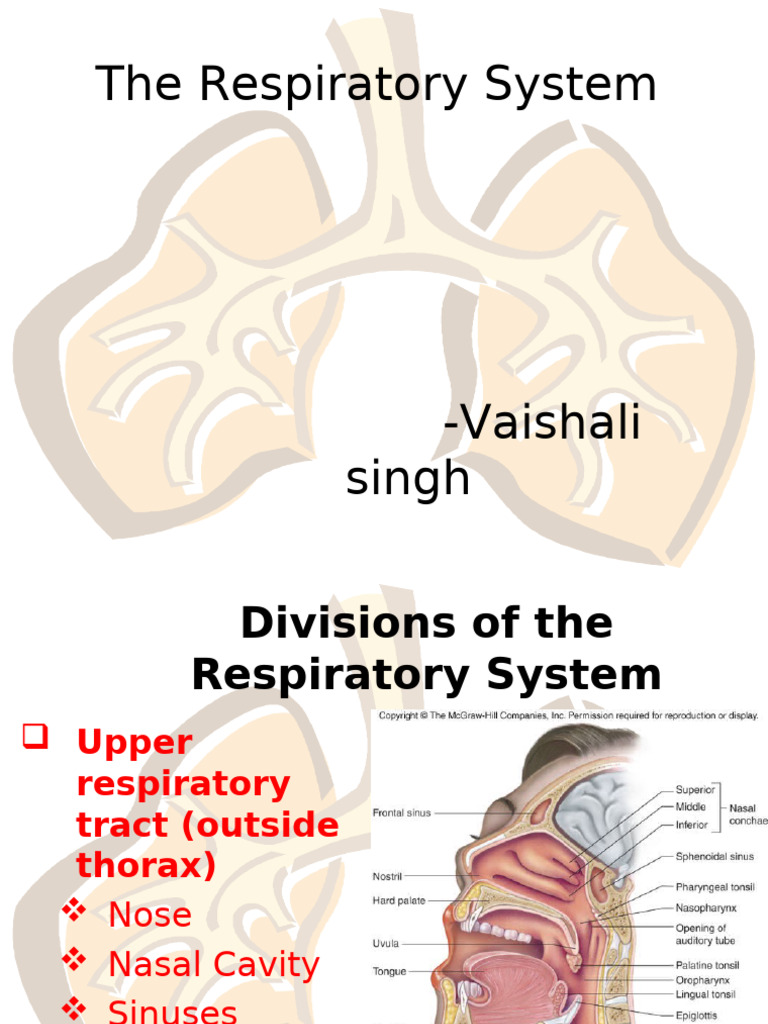 The Respratory System | PDF | Human Nose | Respiratory Tract