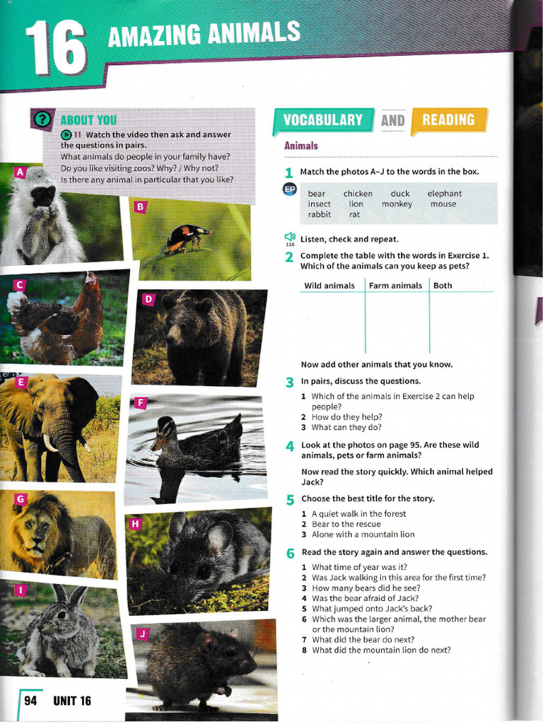A2 Studentbook Unit 16 | PDF