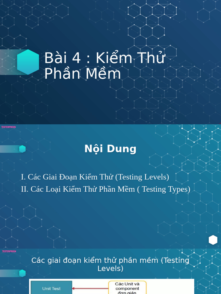 Bai 4 - Testing Level - Type | PDF