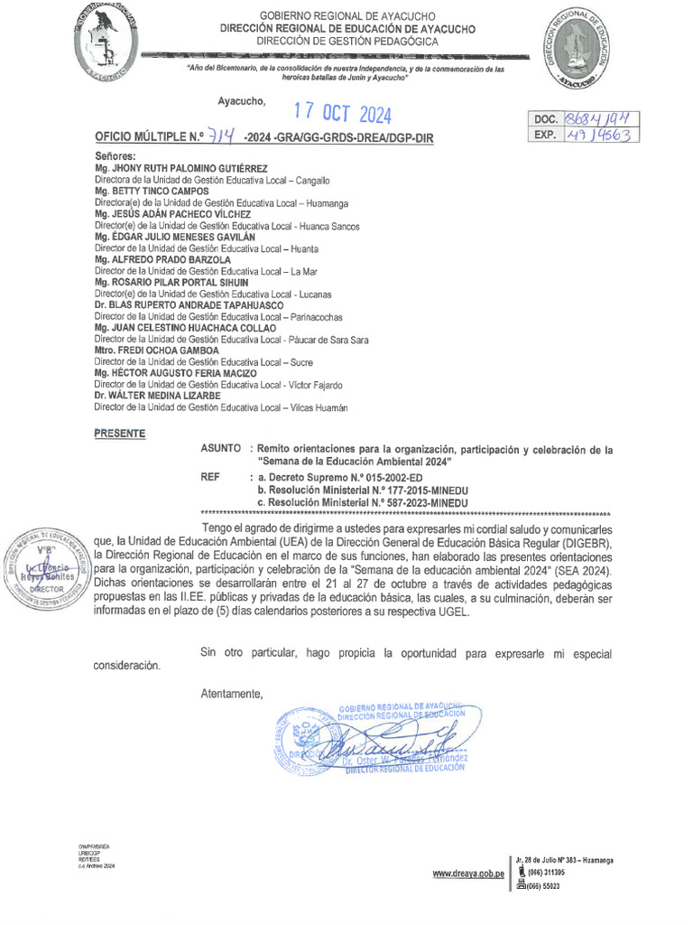 Oficio Multiple 714 2024 Drea DGP RDT | PDF