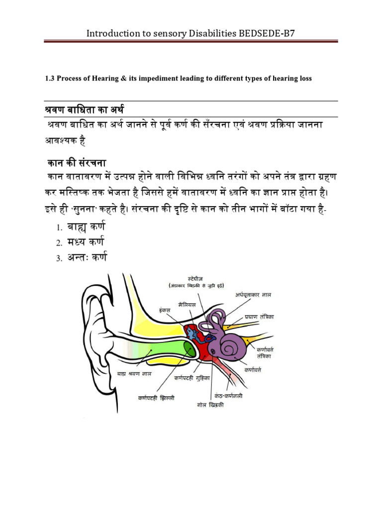 B 7 Sensory Disability | PDF