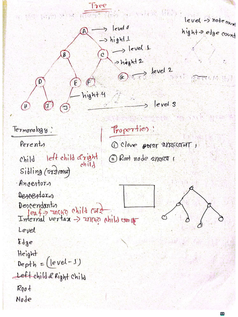 Discrete Mathematics - Tree | PDF