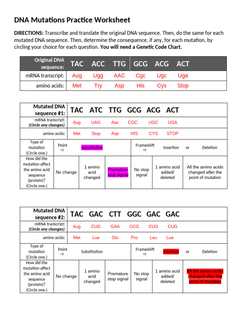 DNA+Mutations+Practice+Worksheet copy copy | PDF | Genetic Code | Point ...