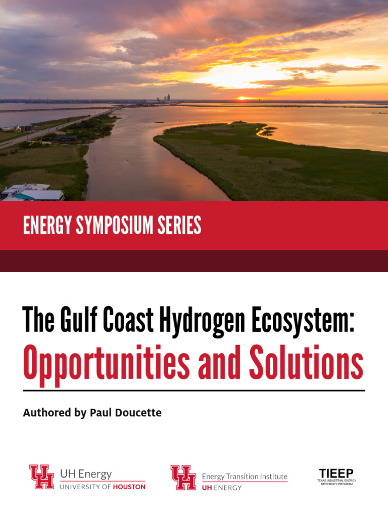 Gulf Coast Hydrogen Ecosystem Insights | PDF | Hydrogen | Natural Gas