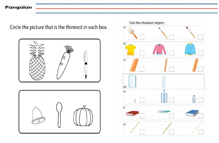 thinnest , thickest worksheets | PDF