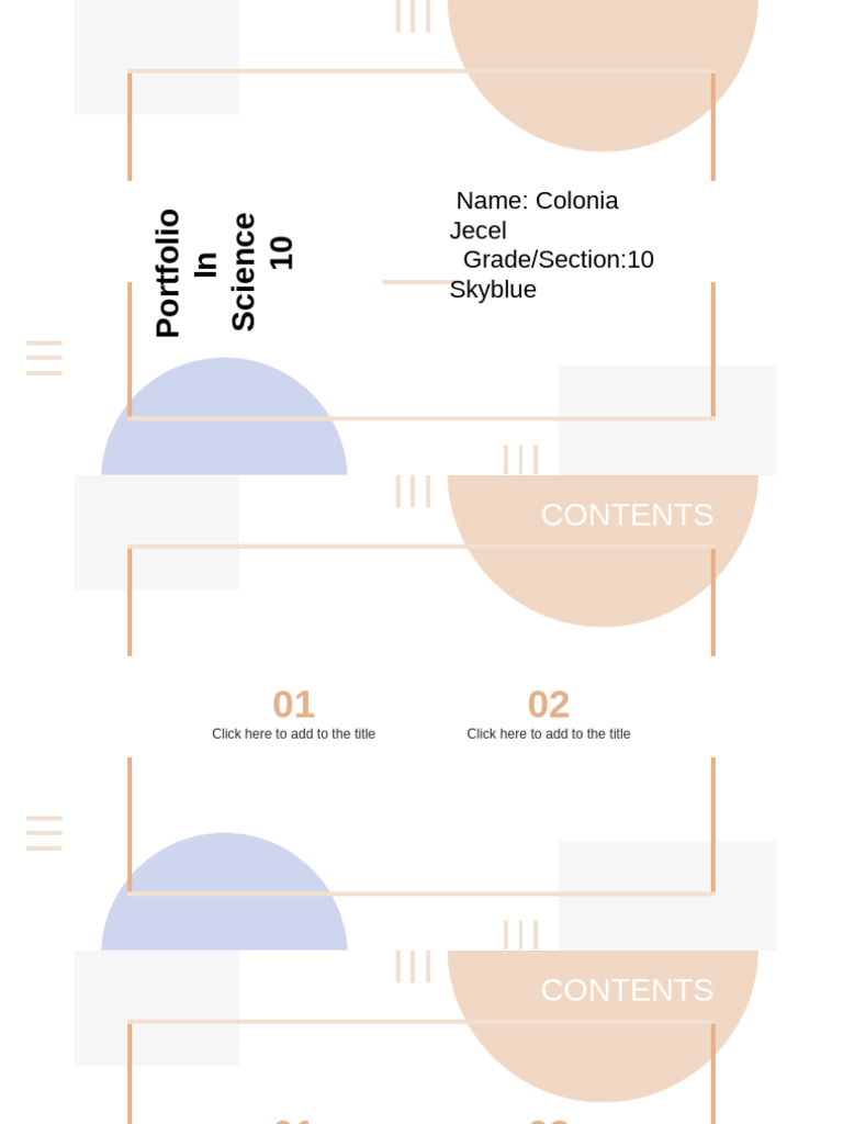 Portfolio WPS Office | PDF