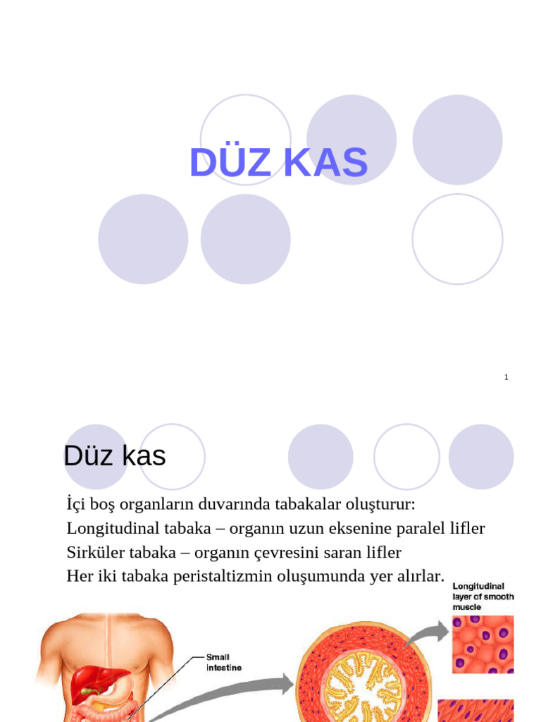 Düzkas FTR | PDF