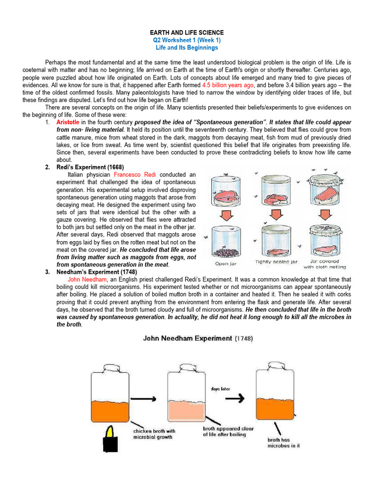 Origin of Life on Earth: Key Experiments | PDF | Life | Abiogenesis