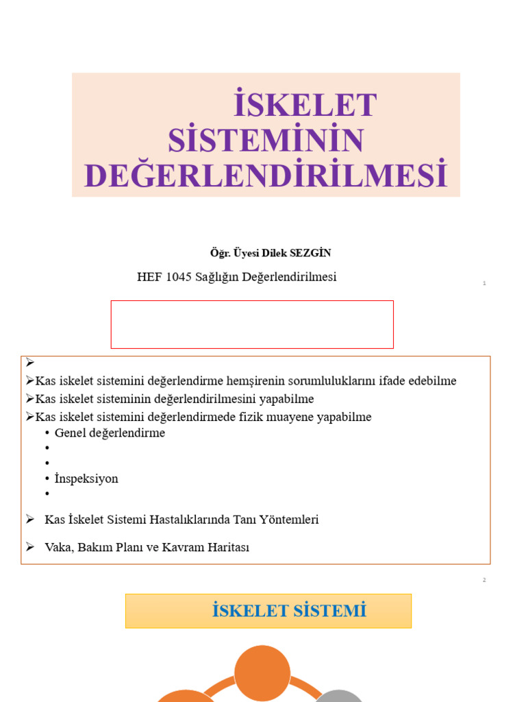 Kas-Iskelet Sisteminin Değerlendirilmesi | PDF