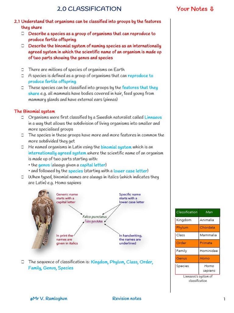 2 Classification | PDF | Cell (Biology) | Leaf
