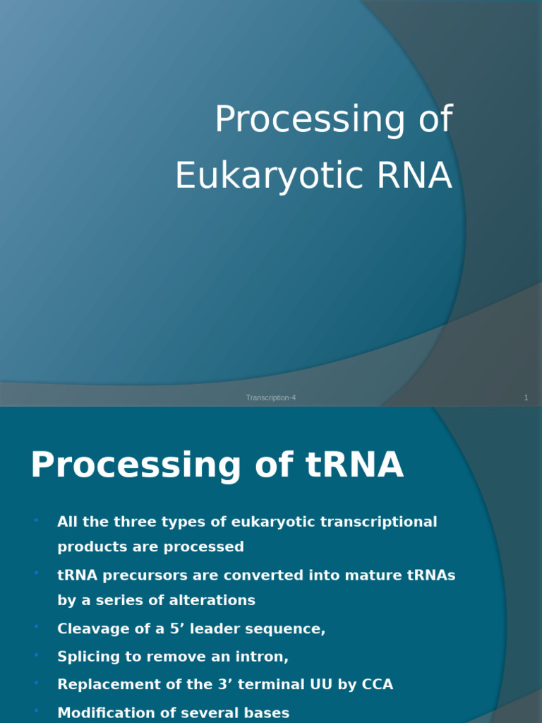 3 RNA Splicing | PDF | Rna Splicing | Rna