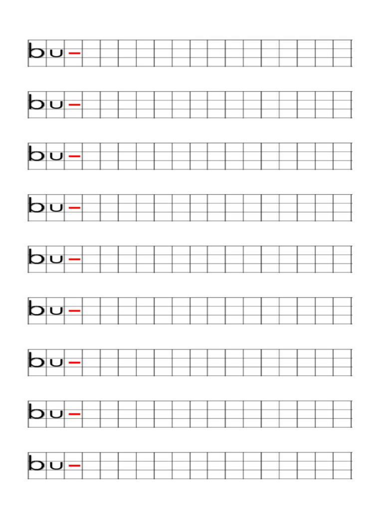 BU | PDF