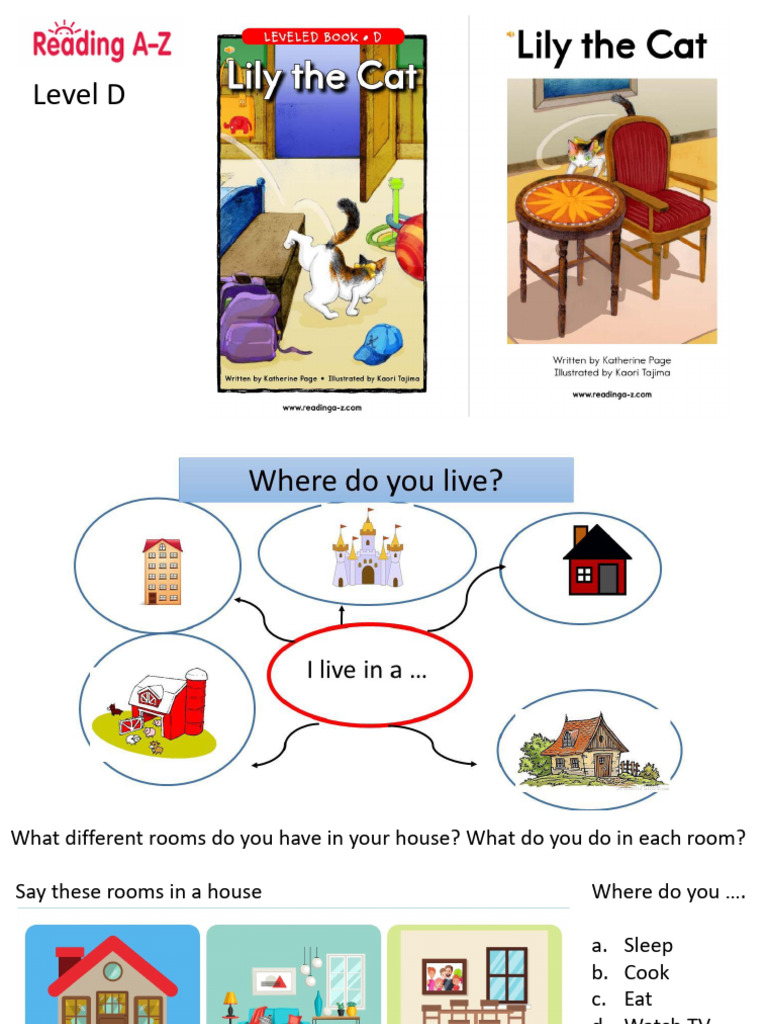 D Lily The Cat Lesson Plan and Story | PDF | Foreign Language Studies