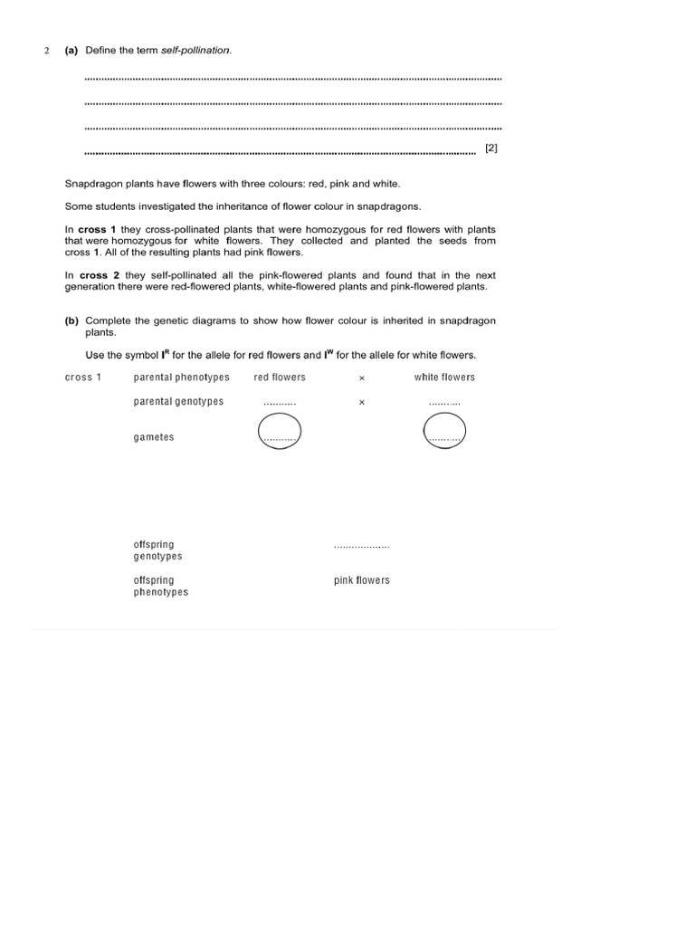 Chromosomes,Genes and Prot. | PDF