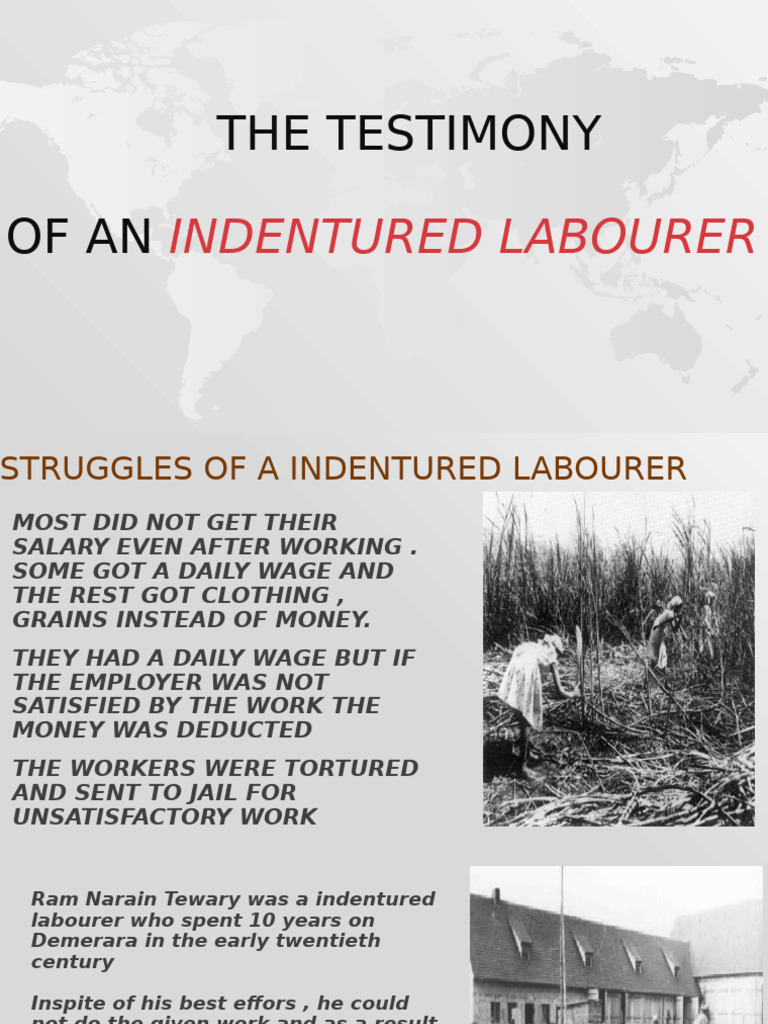 Indentured Labourer Struggles Revealed | PDF