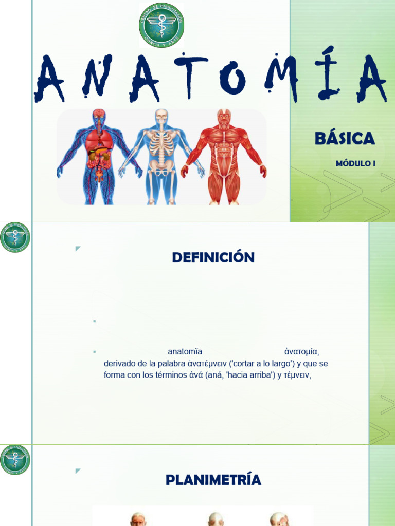Anat Básica (1) | PDF | Hueso | Citoplasma