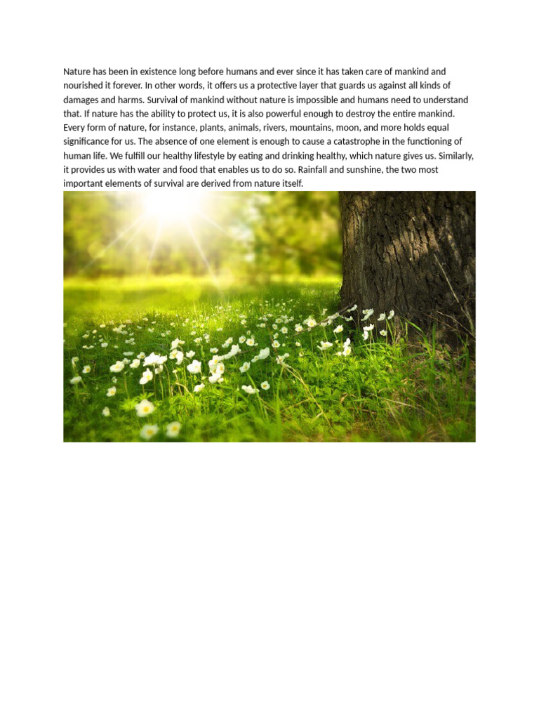 Ms Word 1 Pharse Solution 2 | PDF