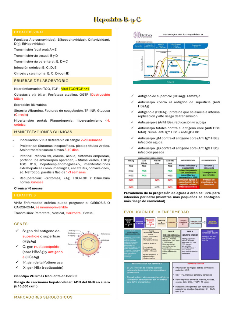 Hepatitis Byc PDF | PDF | Hepatitis | Virología