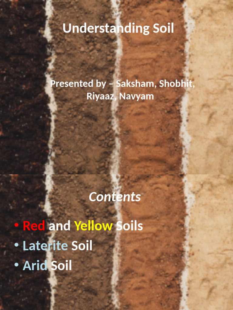 Understanding Soil | PDF | Soil | Fertilizer