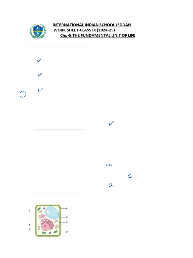 Worksheet - Class IX, Chp-5 With Answer Key | PDF | Cell (Biology ...