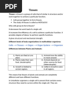 Tissues - Ppt - Grade 9 (1) | PDF | Epithelium | Tissue (Biology)