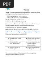 Class 9 Science: Tissues Revision Notes | PDF | Epithelium | Tissue ...