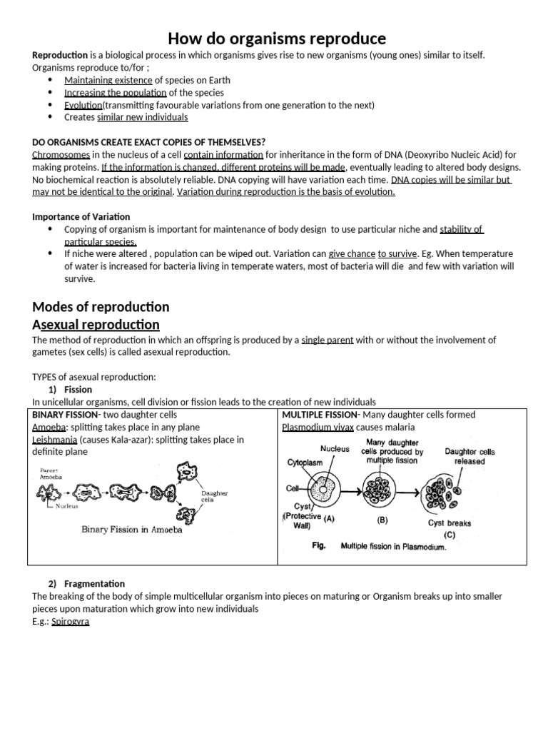 How Do Organisms Reproduce | PDF | Flowers | Reproduction