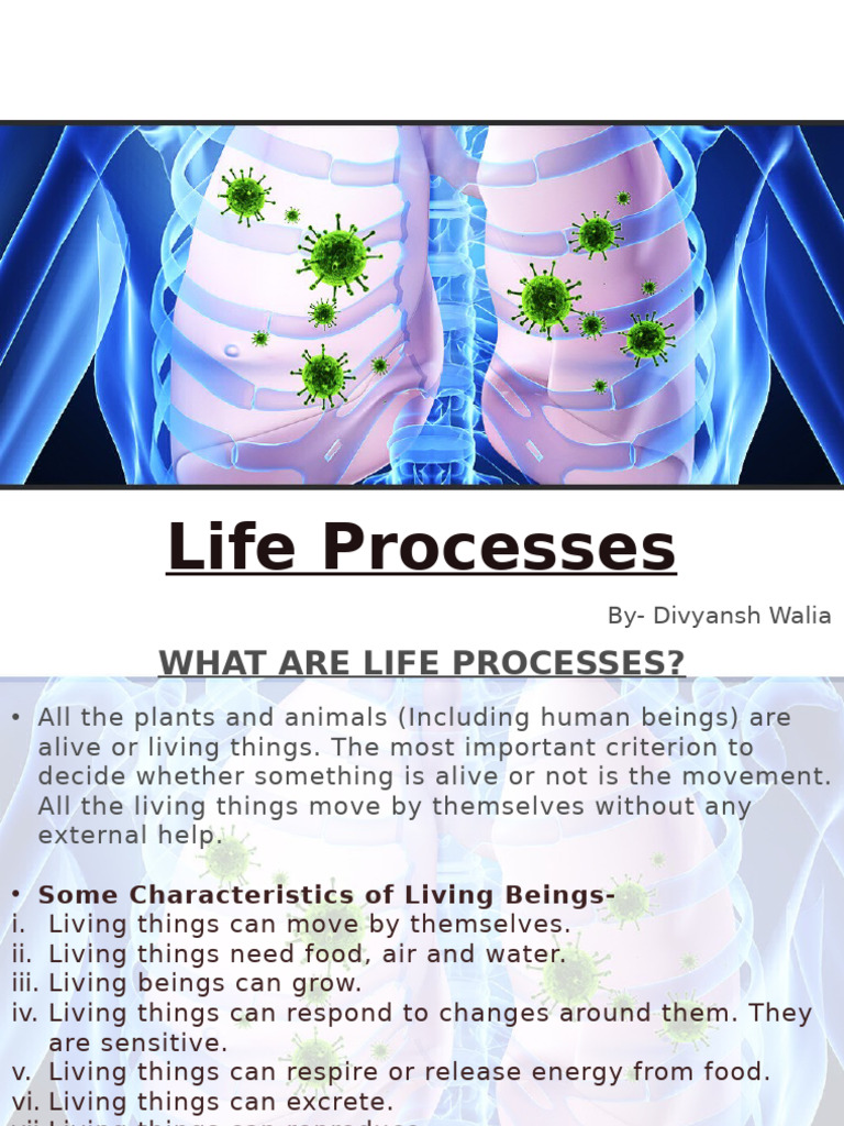 Life Processes | PDF | Cellular Respiration | Respiratory Tract