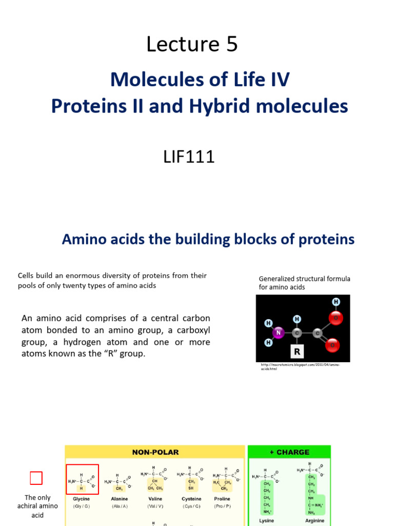 Lecture 5 LIF111 - Molecules of Life IV Proteins II and Hybrid ...