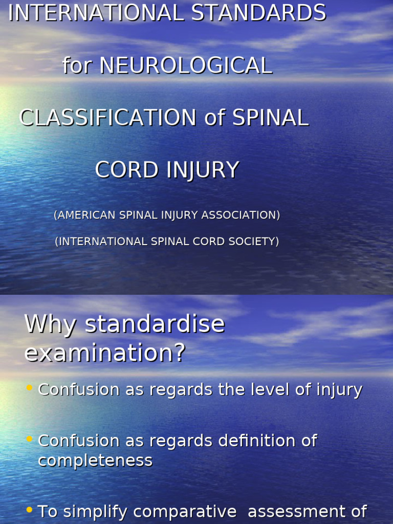3 Asia | PDF | Spinal Cord | Limbs (Anatomy)