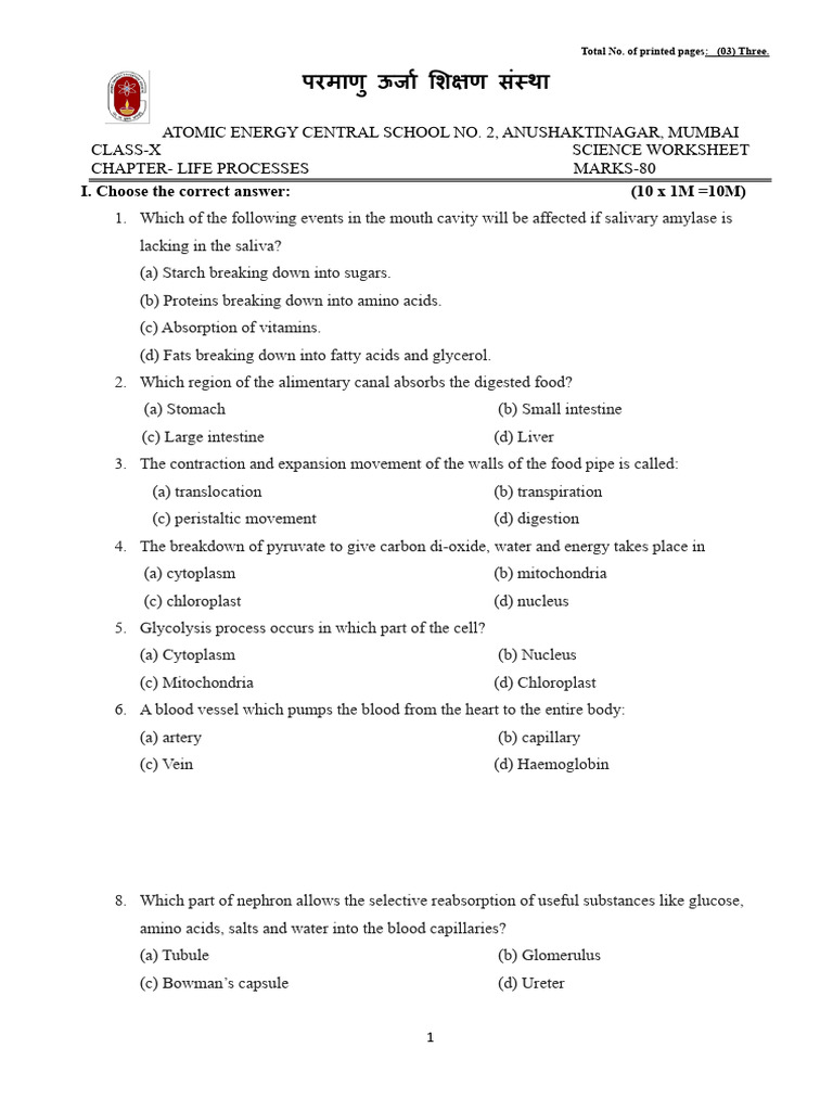 Class X Science Worksheet: Life Processes | PDF | Respiratory System ...