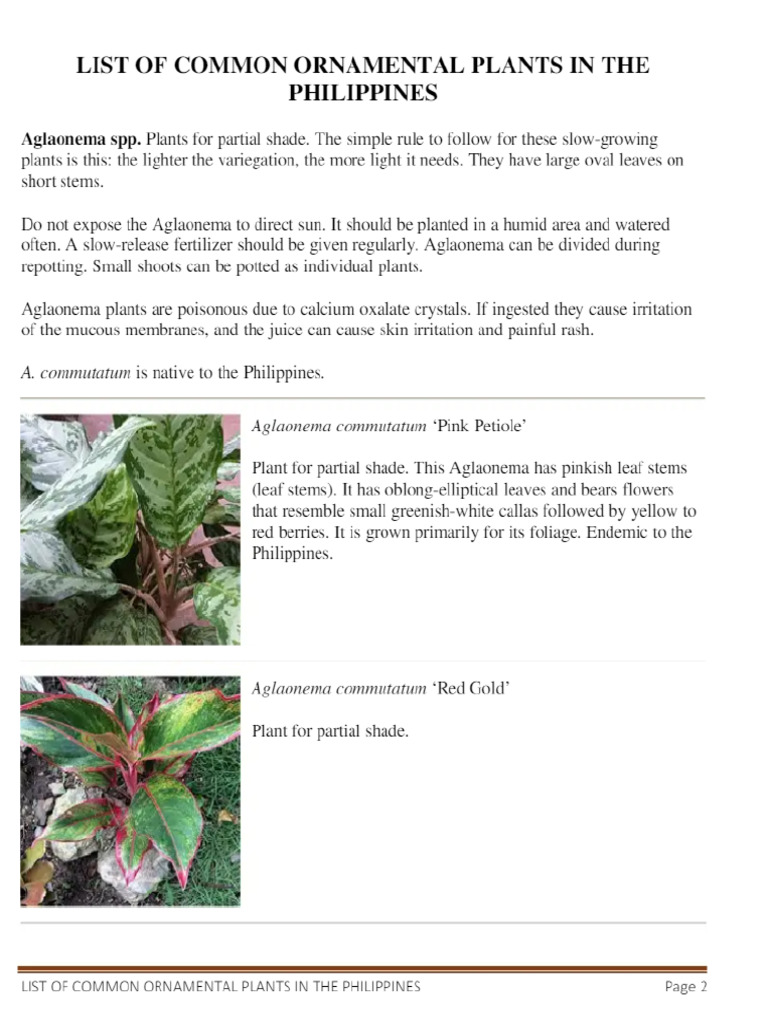 Plants Researcvh | PDF