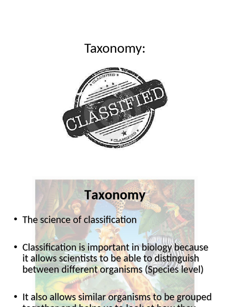 Taxonomy Classification ppt1 | PDF
