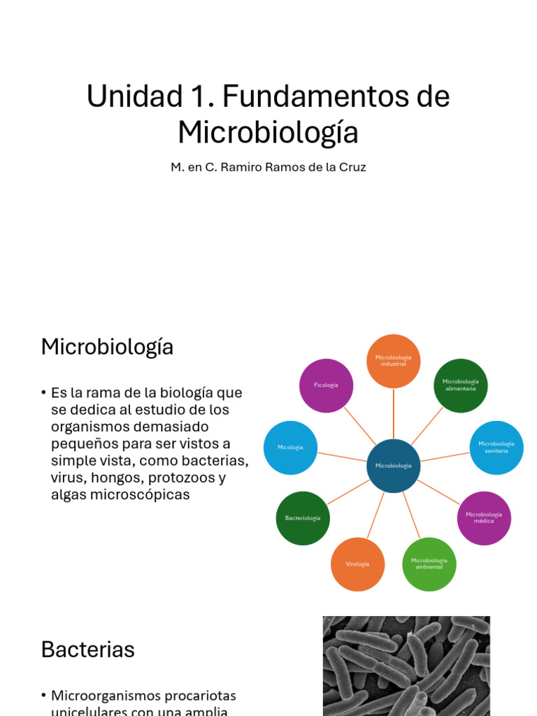 Unidad 1 | PDF | Las bacterias | Biopelícula