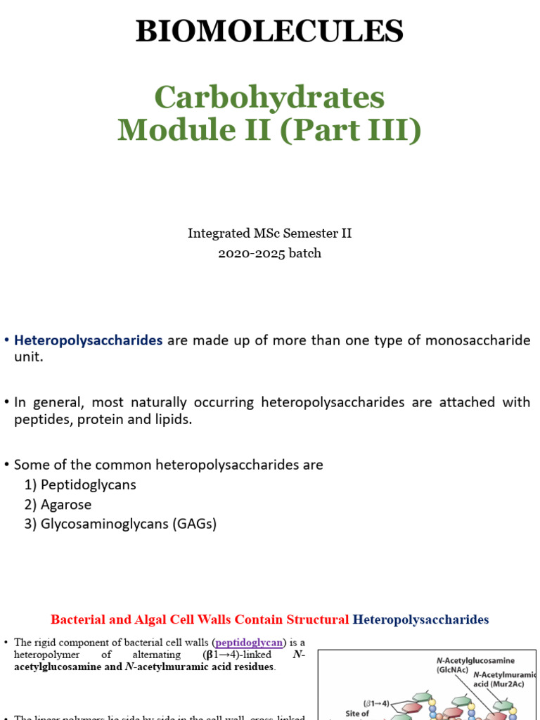 Biomolecules Module II Part 3 | PDF | Polysaccharide | Cell Wall