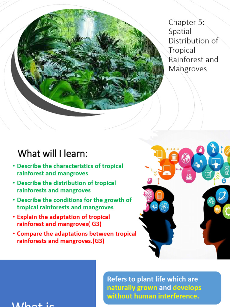 Chapter 5 - Spatial Distribution of Tropical Rainforest and Mangroves ...