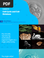 Cell Theory: Lesson 1.1 | PDF | Cell (Biology) | Organisms