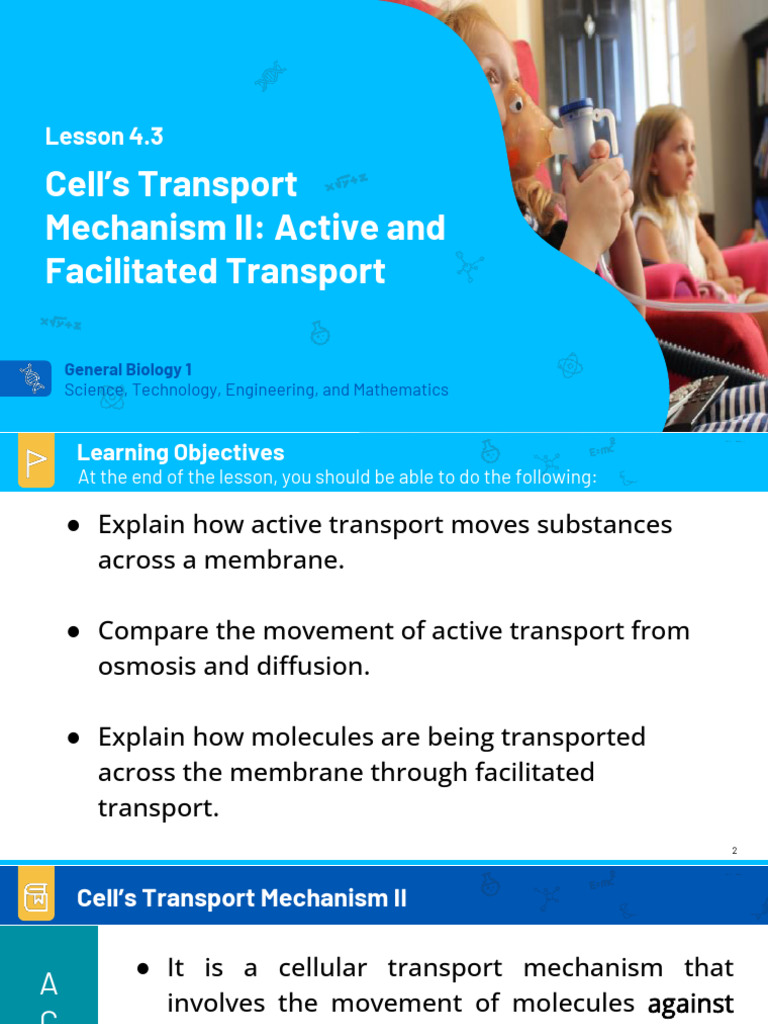 Transport Mechanism 2 | PDF | Vesicle (Biology And Chemistry) | Cell ...