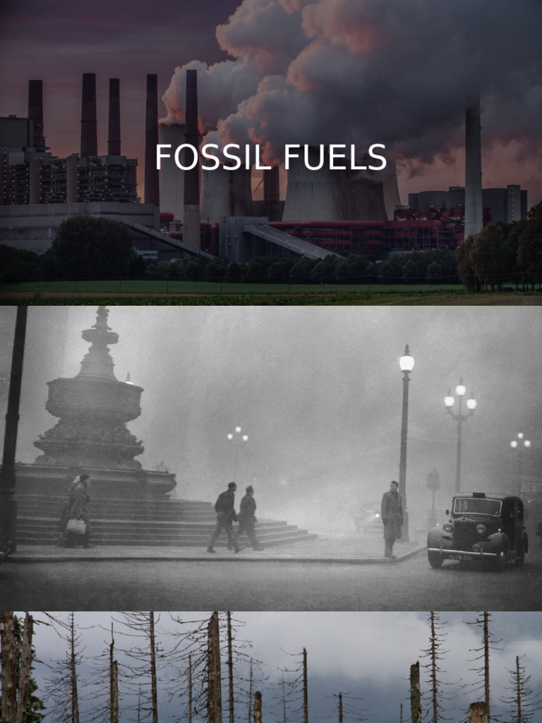 Fossil Fuels | PDF