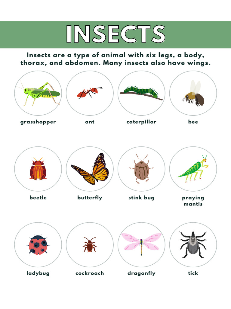 Speech Therapy Poster Insects Examples - 20241010 - 215314 - 0000 | PDF ...